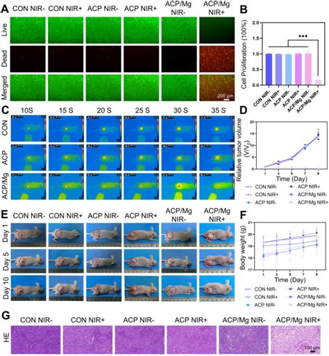 Nir Programmable 3d Printed Shape Memory Scaffold With Dual Thermal
