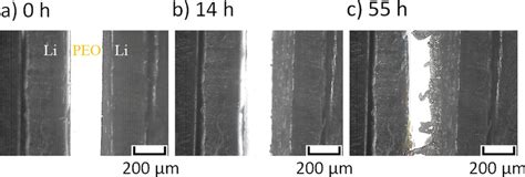Dendrite Growth In A Lipeo10litfsili Visualization Cell At 60 ∘c And Download Scientific