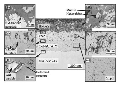 The Microstructure Of The Tebc System Deposited Onto The Mar M247
