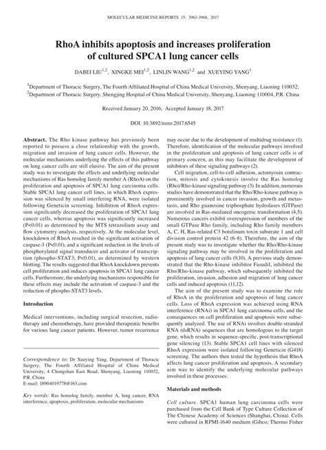 Pdf Rhoa Inhibits Apoptosis And Increases Proliferation Of Cultured