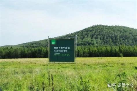 蓝莓有营养价值更高？垦荒人带你找到答案 知乎