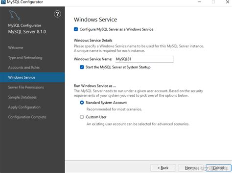 windows上mysql数据库安装教程 csdn博客
