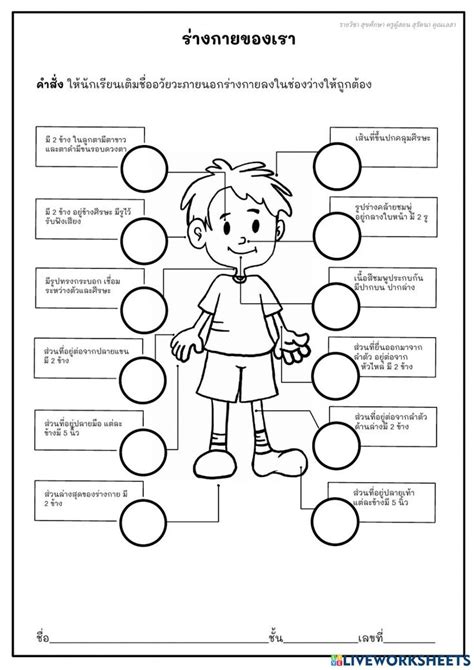 ใบงานสขศกษา เรอง รางกายของเรา interactive worksheet