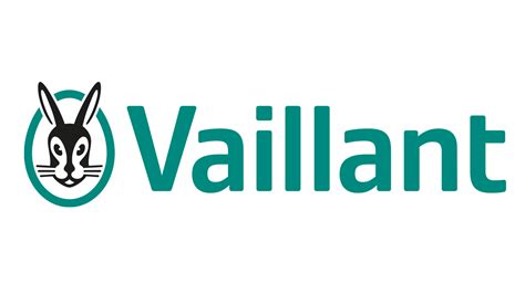 F Vaillant Fault Code What F Error Code On Boiler Fixes