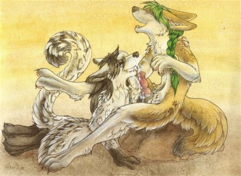 Rule 34 Anthro Canine Cum Fellatio Fennec Fox Fur Furry Furry Only