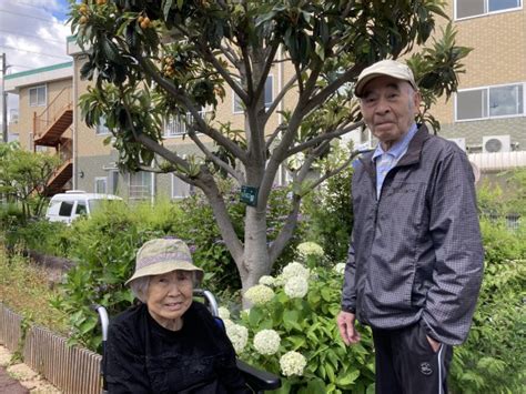 紫陽花巡りスタッフブログALSOK介護株式会社