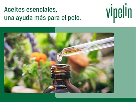 Los Aceites Esenciales Para Mantener El Pelo Sano