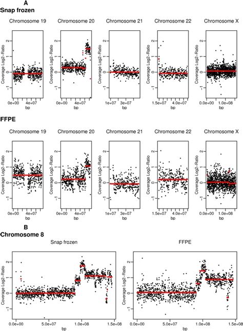 A Dna Fragment Coverage Ratio Of Tumor Versus Normal Tissue On Five Download Scientific