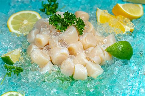 게 고기와 신체 부위 촉수 무릎 큐브 얼음에 푸른 해양 배경 레몬과 라임 의 조각은 녹색 빛 상단 측면보기 주위에 주위에 둥근 슬라이스 갈고리 발톱에 대한 스톡 사진 및