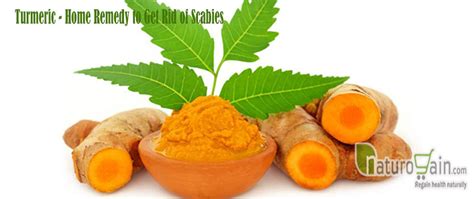 6 Home Remedies For Scabies Simple Herbal Treatments