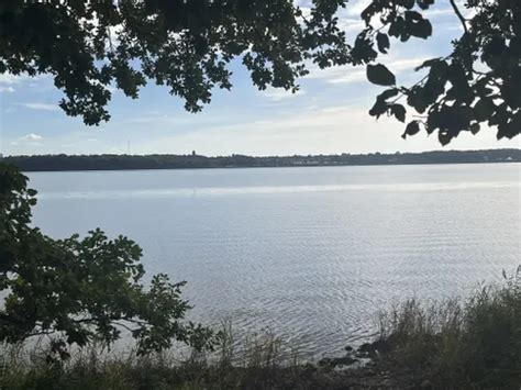 Kollund Skov De Beste Routes Om Te Wandelen Alltrails