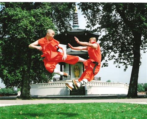 Tang Long Shaolin Wellness And Martial Arts Centre