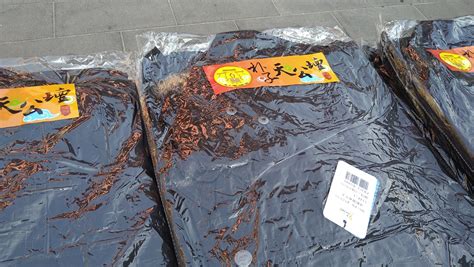 朴子天公壇 今年的寒冬特別冷~~ 大家一同來傳遞溫暖 本壇與 華山基金會 朴子愛心天使站