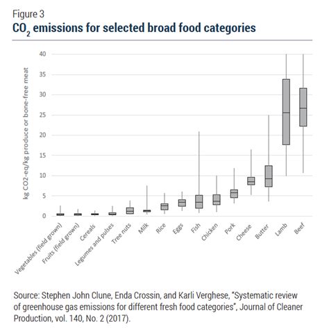 UN DESA Policy Brief Population Food Security Nutrition And Sustainable Development