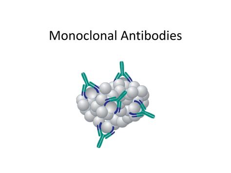 Ppt Monoclonal Antibodies Powerpoint Presentation Free Download Id