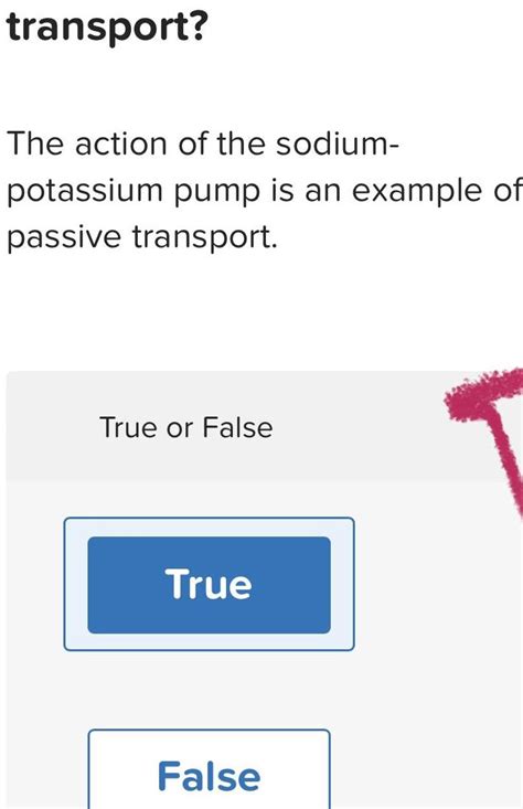 Answered Transport The Action Of The Sodium Potassium Pump Is An Kunduz