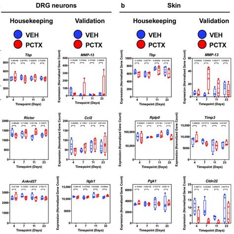 Technical Validation Of Genes Expression Graphs Of Normalised Gene Download Scientific Diagram