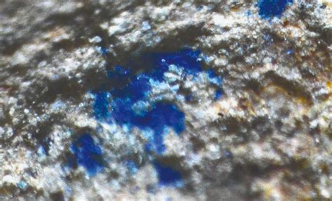 Rare Nasa Satellite Footage Reveals The Mysterious Tunguska Blast Zone