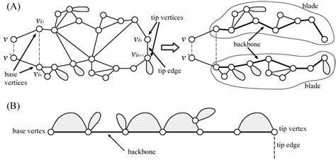 Algorithms Special Issue Graph Algorithms Algorithms Special Issue Graph Algorithms