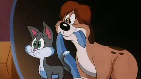 Runt Animaniacs Characters Rita × Runt Animaniacs