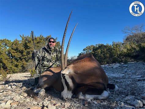 Gemsbok Hunts In Texas Exotic African Trophy Hunting At Texas Hunt Lodge