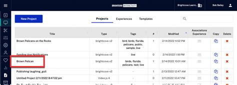 Getting Started With Interactivity