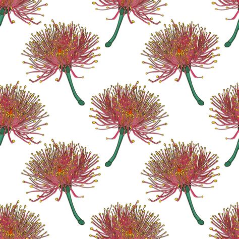 Premium Vector Seamless Pattern Of Eucalyptus Branches Isolated On White Background