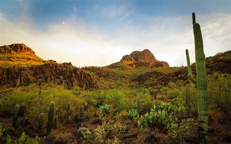 Tucson Arizona Wallpapers Wallpaper Cave