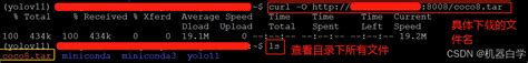 从零开始使用yolov8和v11——linux系统使用指令部署大规模训练记录yolo11 Linux Csdn博客