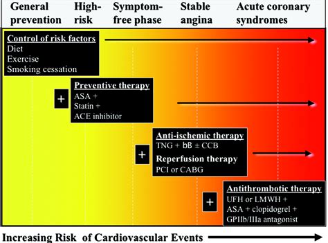 Coronary Artery Disease Pathophysiology Diagram