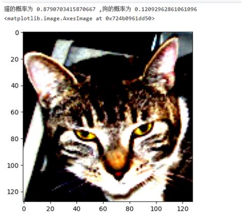 猫狗图像识别预测准确率70 知乎