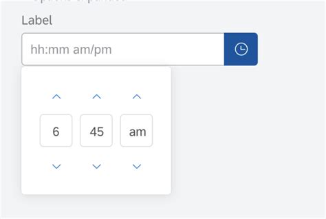 Bug Time Picker Needs An Input Group Field · Issue 528 · Sap