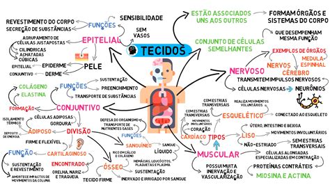 Tecidos Do Corpo Humano Mapa Mental Revoeduca
