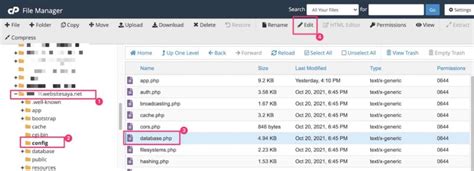 Panduan Setting Redis Laravel Di Hosting Domainesia