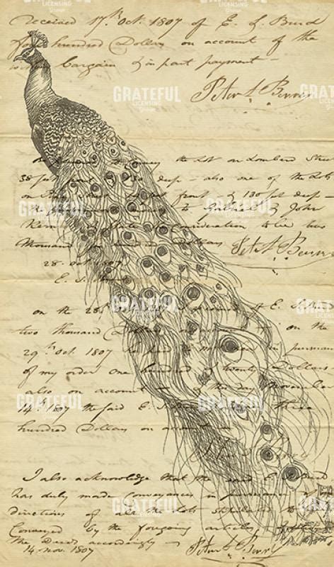 Vintage Peacock Grateful Art Licensing