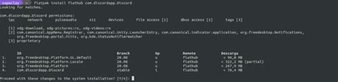 Discord cómo instala el cliente para este servicio en Ubuntu 18 04 20 04