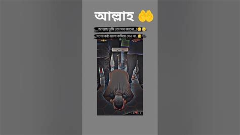 আল্লাহ মনের কষ্টগুলো কমিয়ে দাও তুমি তো সব জানো Islamicquotes Peace