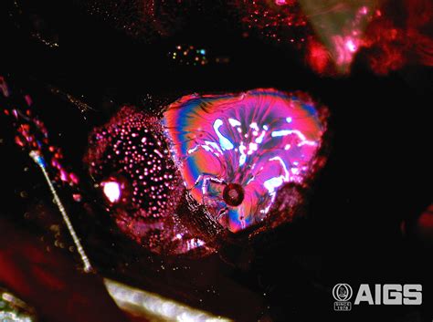 Inclusions In Ruby In Ruby Inclusions In Sapphire Inclusions In