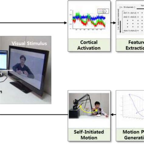 Self Controlled Brain Haptic Interaction Paradigm Download Scientific Diagram