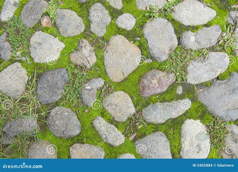 Grass And Stone Texture Stock Images Image 5455884
