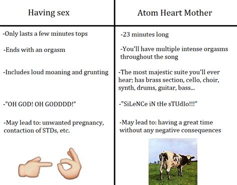 Atom Heart Mother Sex R PinkFloydCircleJerk