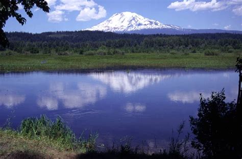 Trout Lake Wetlands - Wildlife Recreation and Coalition