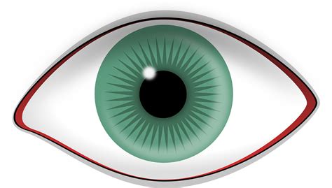 Download Eye Green Iris Royalty Free Vector Graphic Pixabay