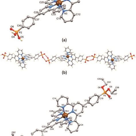 A The Structure Of The Rh12 ³⁺ Cation In The Complex Download