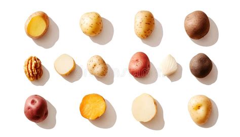 Fresh Potatoes Isolated On White Set Different Types Of Cuts And