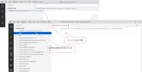 Vscode：sqltools で Iris に接続する方法 Intersystems Developer Community Sql