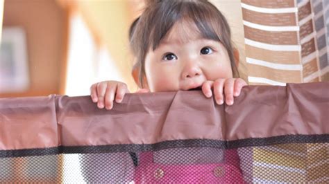 【連載 ばぁばみちこコラム】第十六回 こどもの事故―やけど― ここすまネット