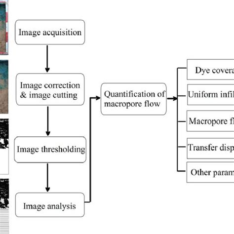 Procedures Used For Image Analysis And Quantification Of Macropore Flow