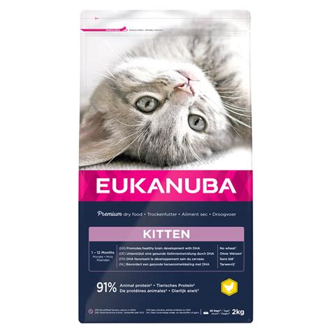 Kitten - Dyrebutikken Buddy
