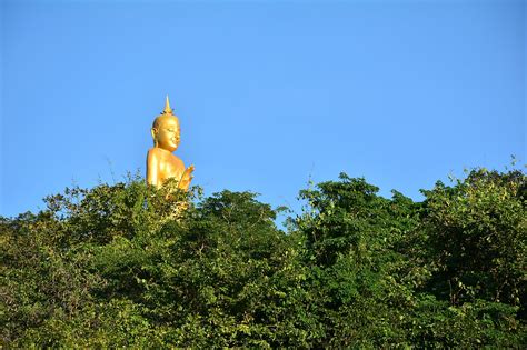 The Grand Buddha Statues Of The World WorldAtlas